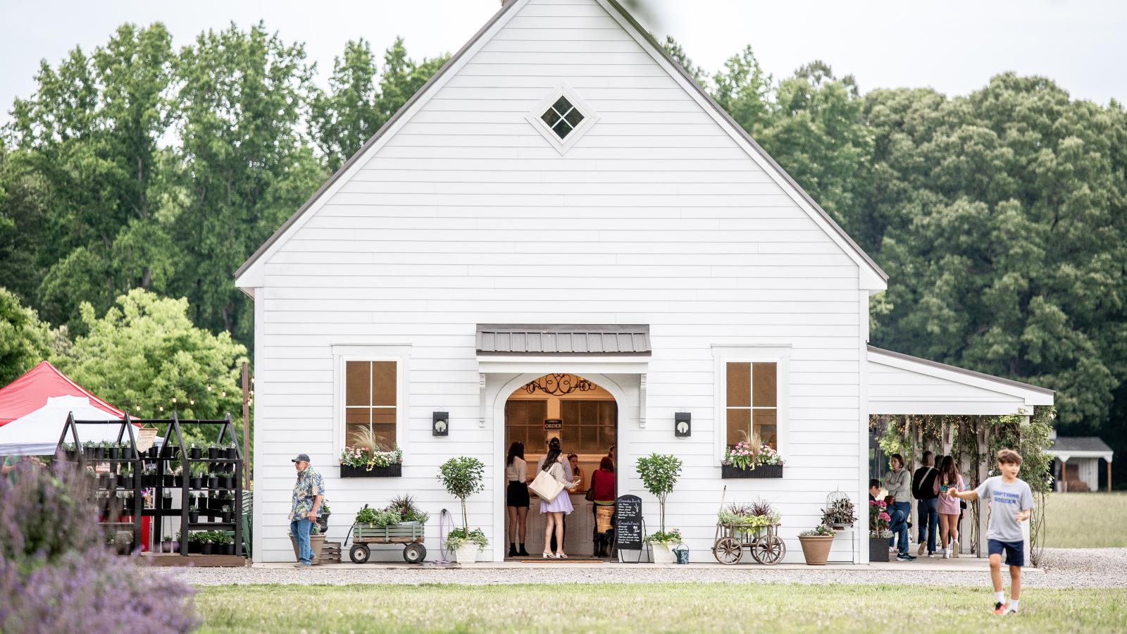 Sweethaven Lavender 2025 in Williamsburg - Checkout