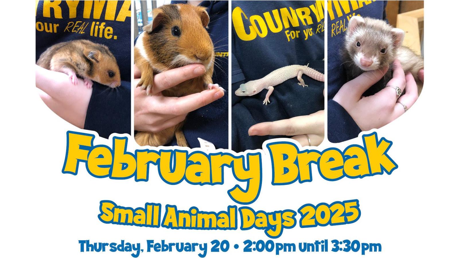 Small Animal Days at CountryMax - Fairport in Fairport - Checkout
