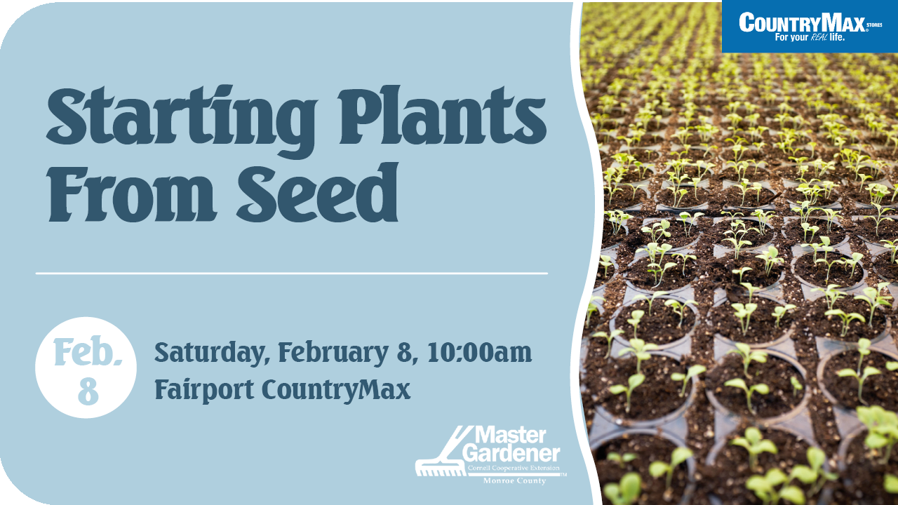 Cornell at CountryMax - Starting Plants From Seed in Fairport - Checkout