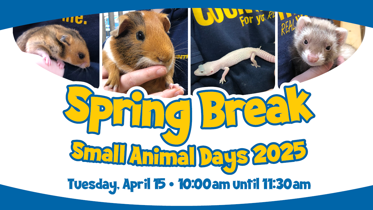 Small Animal Days at CountryMax - Ontario in Ontario - Checkout