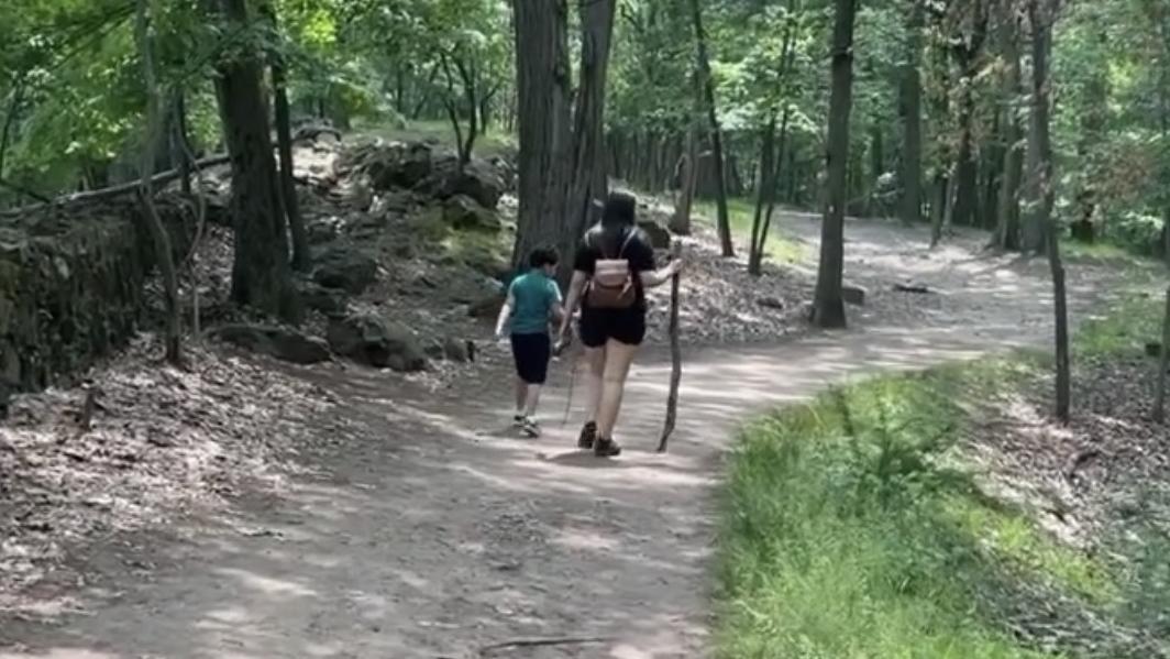 Zen Trails for Kids - First Hike of the Summer in Woodland Park - Checkout