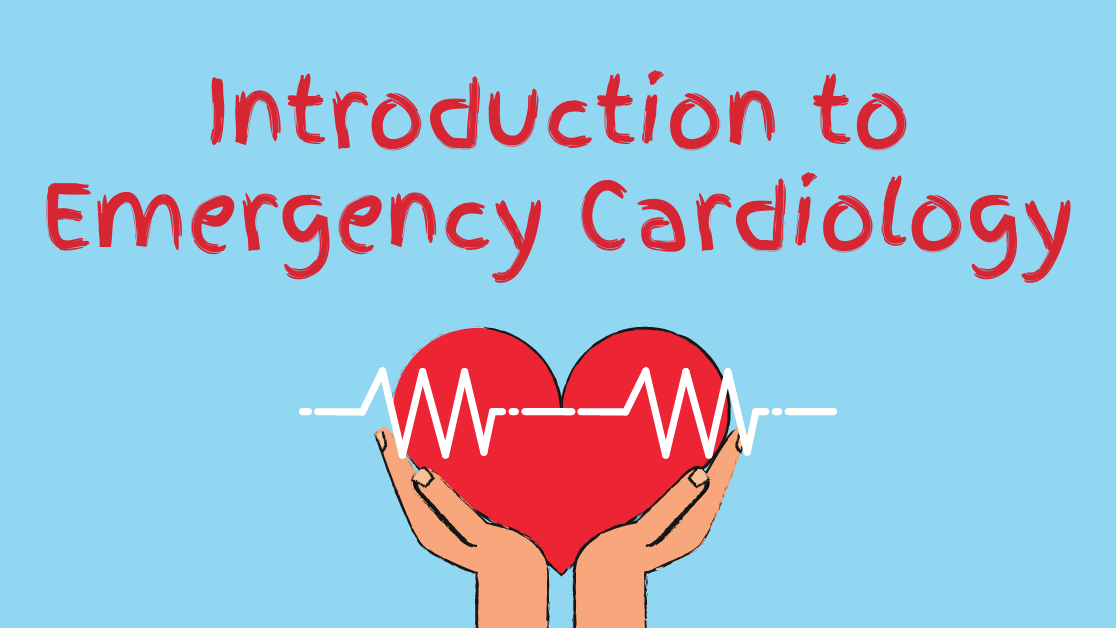 Introduction to Emergency Cardiology in Haltom City - Checkout