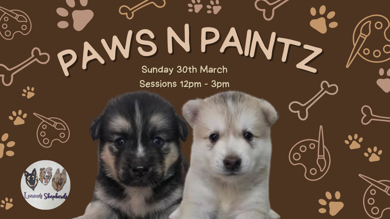 Paws n Paintz - Annandale - Sunday Session in Sydney - Checkout