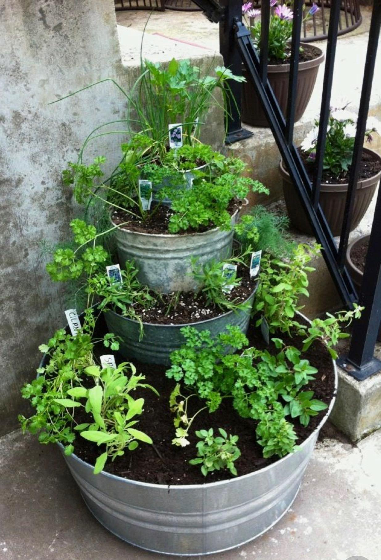 2025 Plant an Herb Pot in Georgetown - Checkout