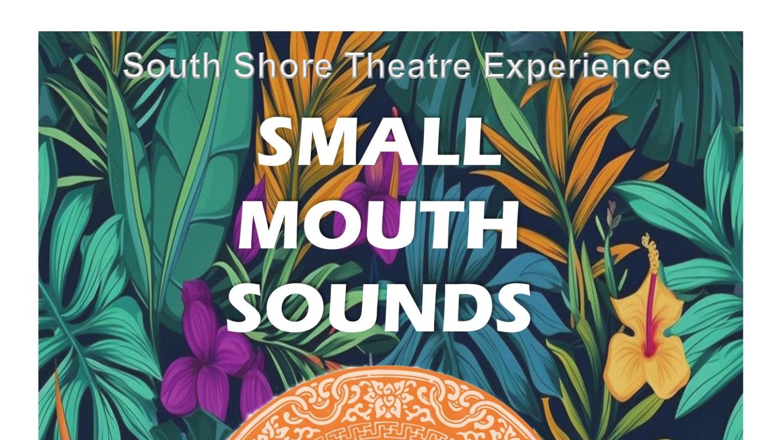 Small Mouth Sounds by Bess Wohl in Lindenhurst - Checkout