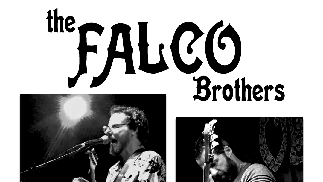 The Falco Brothers #2 in Bayport - Checkout
