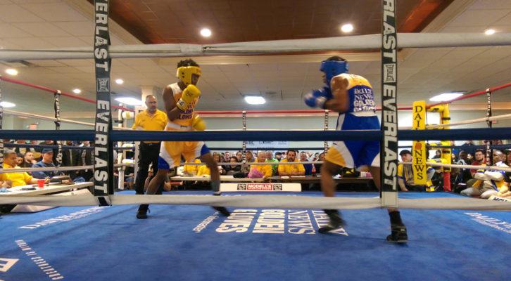 Boxing 2025 in Mineola - Checkout