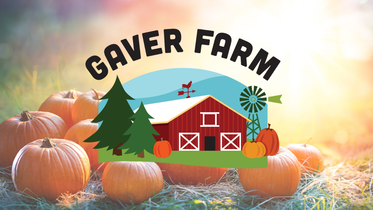 Gaver Farm Fall Fun Fest Daily Admission Tickets In Mt Airy Checkout