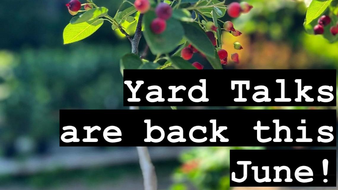 Yard Talk-Mark Highland in Media - Checkout