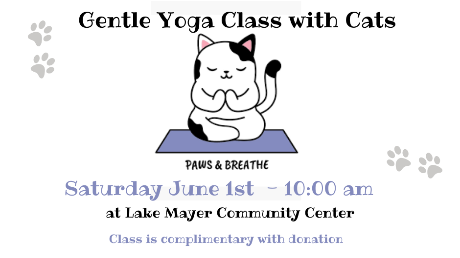 Paws & Breathe Gentle Yoga Class with Cats in Savannah - Checkout