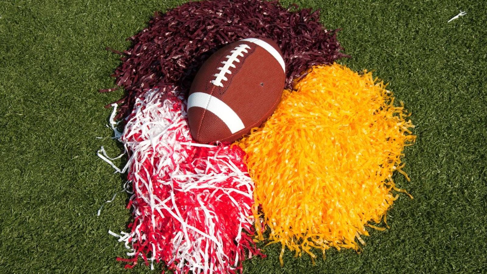 2024 Fall Co-Ed Flag Football and Cheerleading in Chesapeake - Checkout