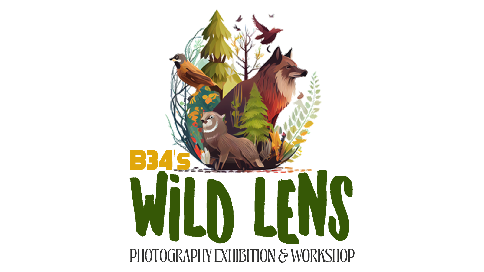 Wild Lens in Kitchener - Checkout