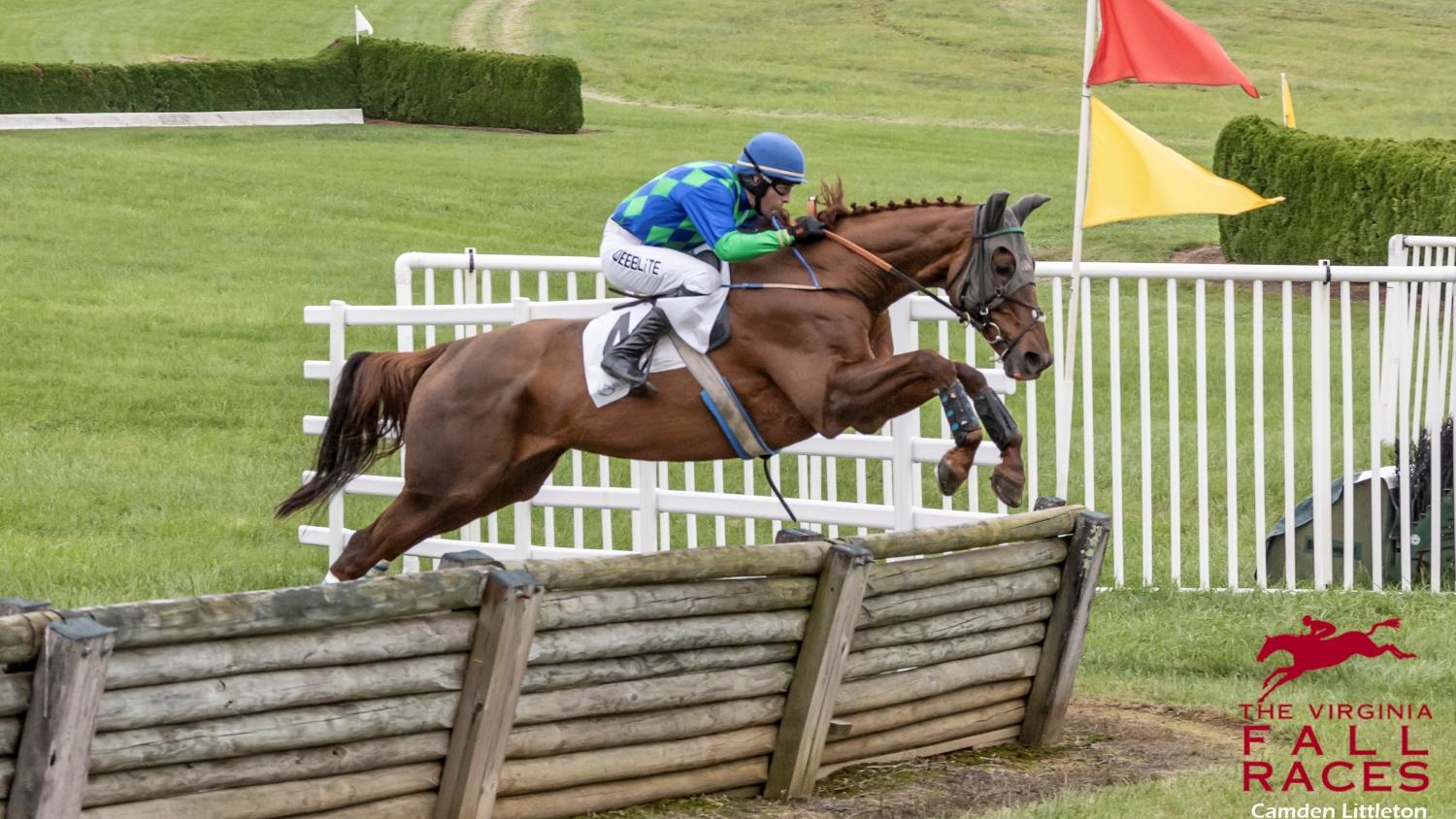 2024 Virginia Fall Races in Middleburg - Checkout