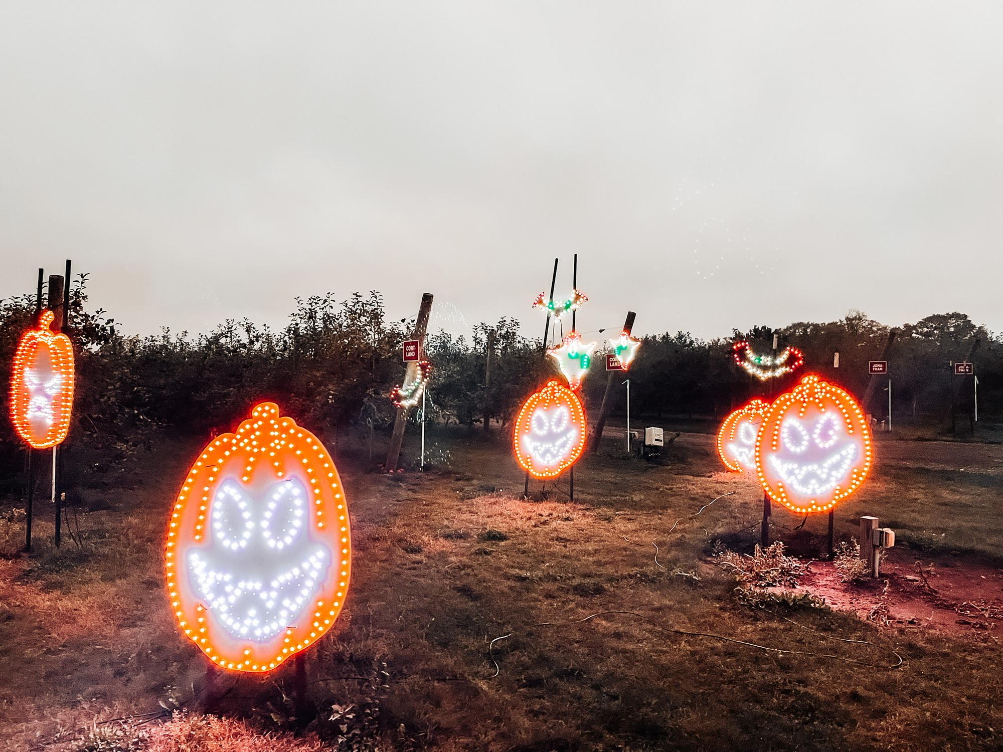 Goebbert's/Larsen's 2024 Halloween Light Shows in Pingree Grove - Checkout
