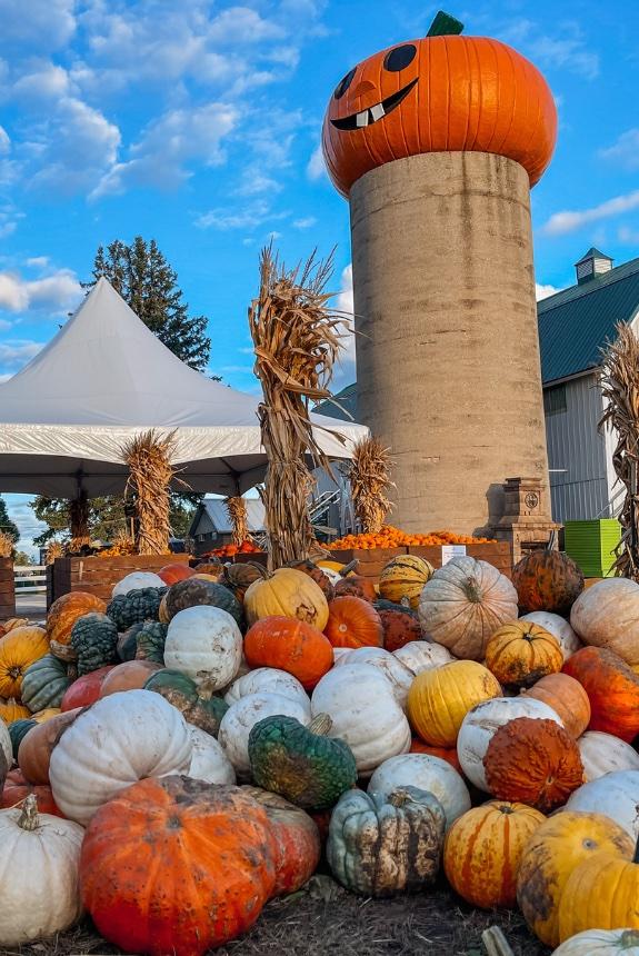 Goebbert's Pingree Grove Fall Festival 2024 in Pingree Grove - Checkout