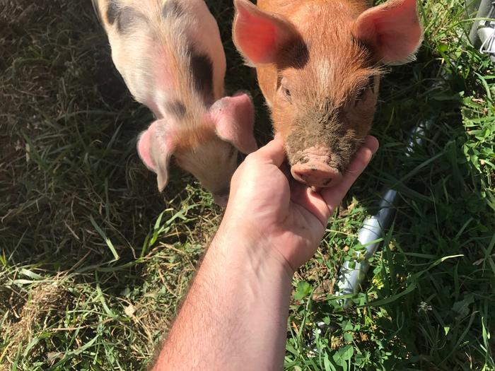 Amazing Fall Fun 2024 Season in Waterloo - Checkout