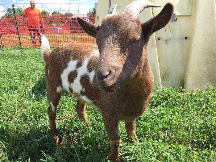 Amazing Fall Fun 2024 Season in Waterloo - Checkout