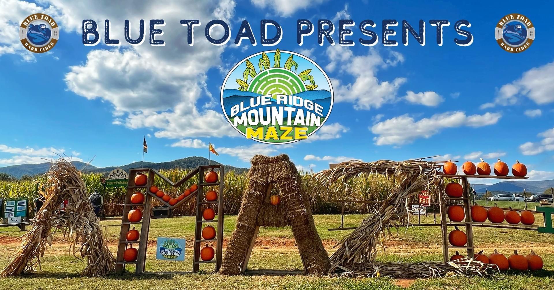 Blue Ridge Mountain Maze- Corn Maze & Fall Festival in Roseland - Checkout
