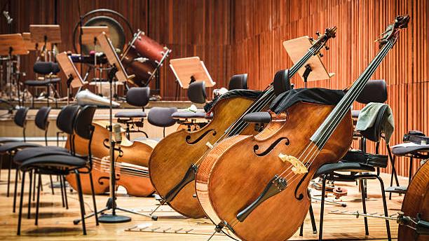 PMEA D11 Orchestra Festival in Royersford - Checkout