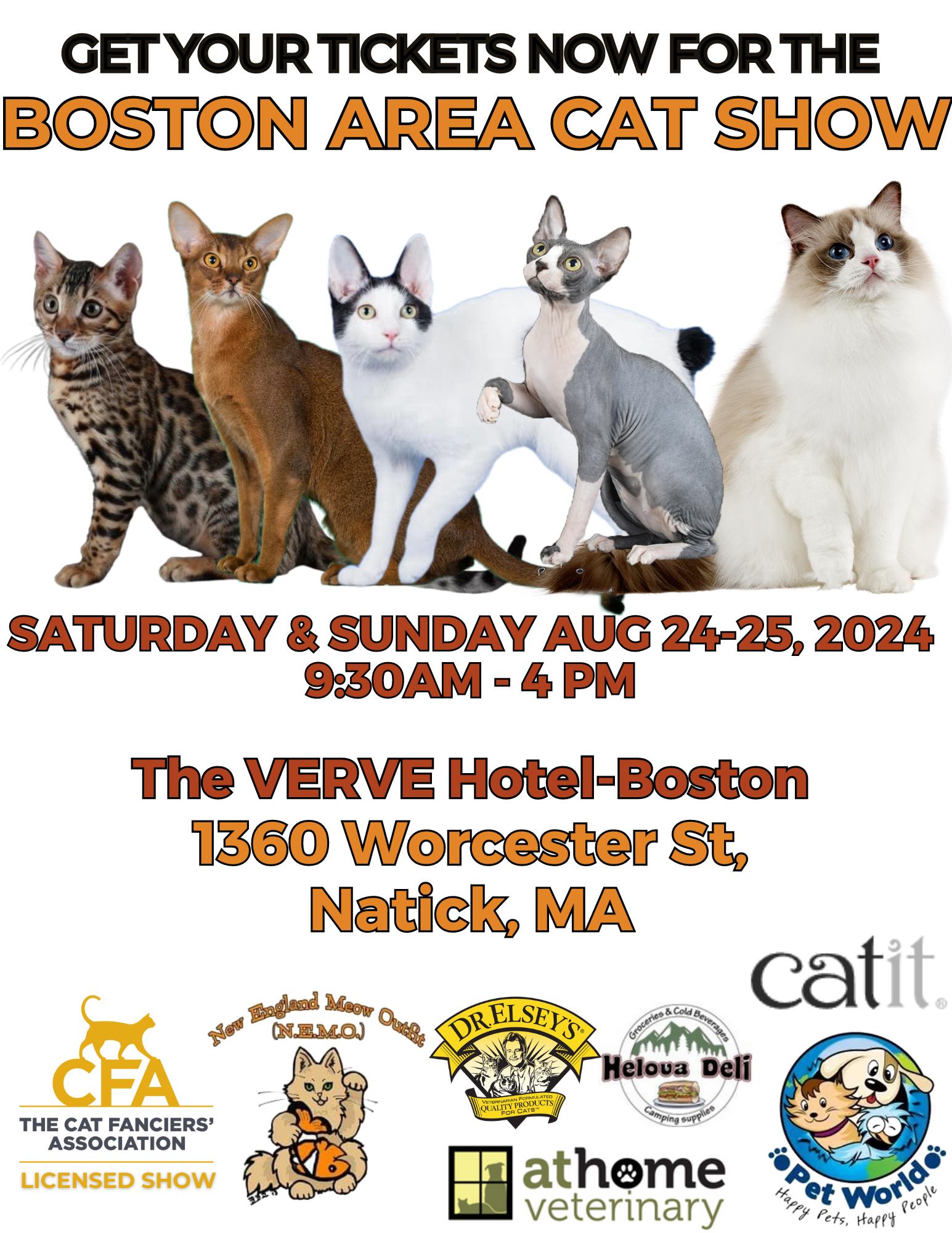 Don't Miss Boston's ONLY CFA Cat Show -- the cats are waiting to see you! in Natick - Checkout