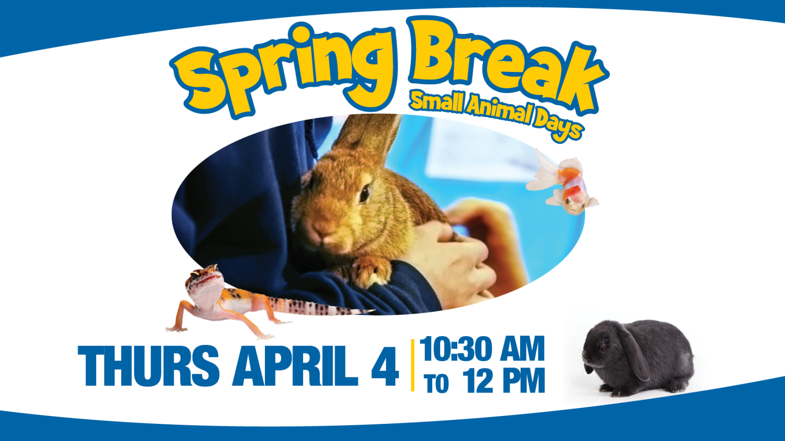 Spring Break Small Animal Days at CountryMax - Checkout