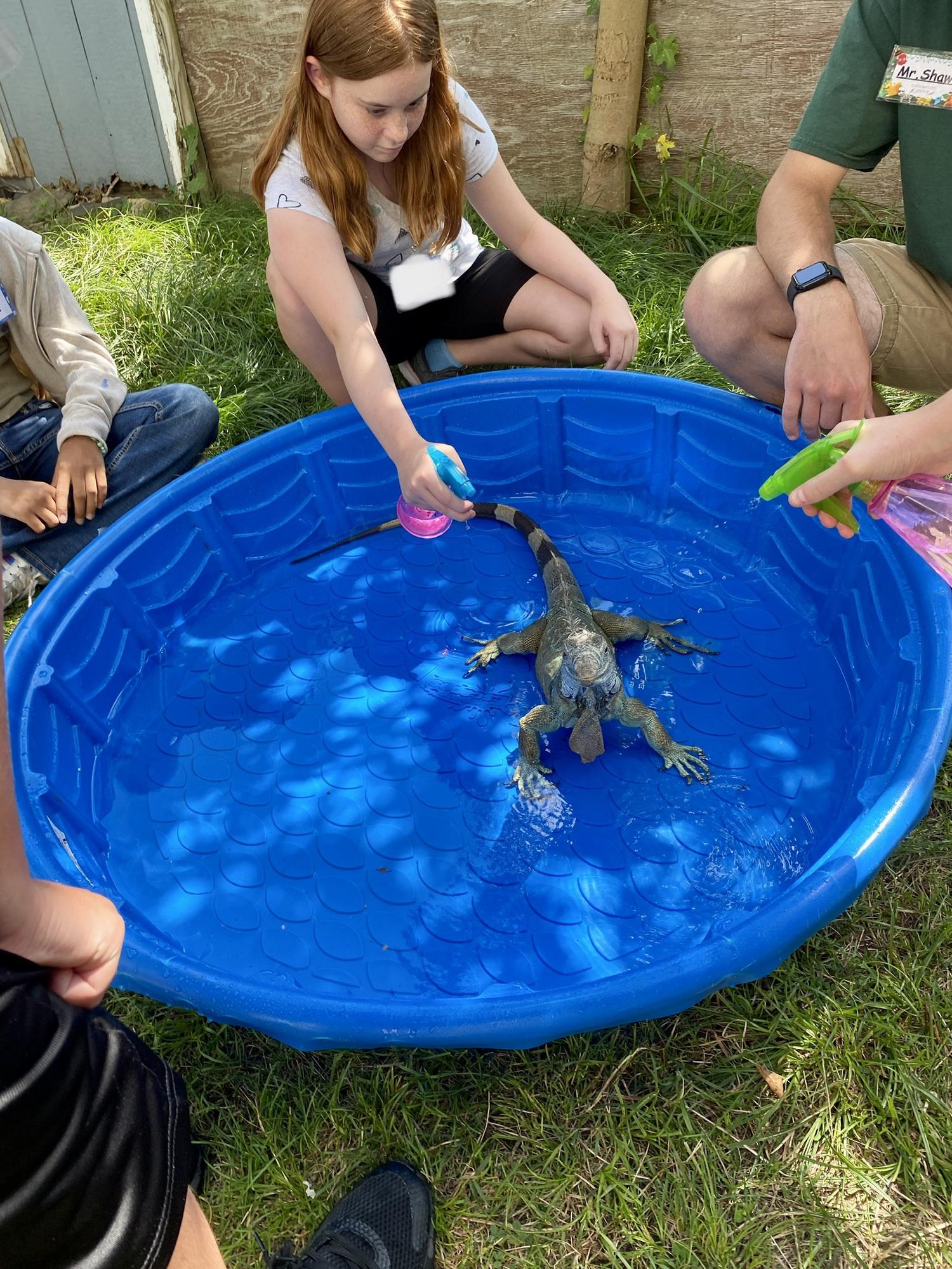 Tickets for Zookeeper For A Day Workshop in Doylestown from TicketLeap