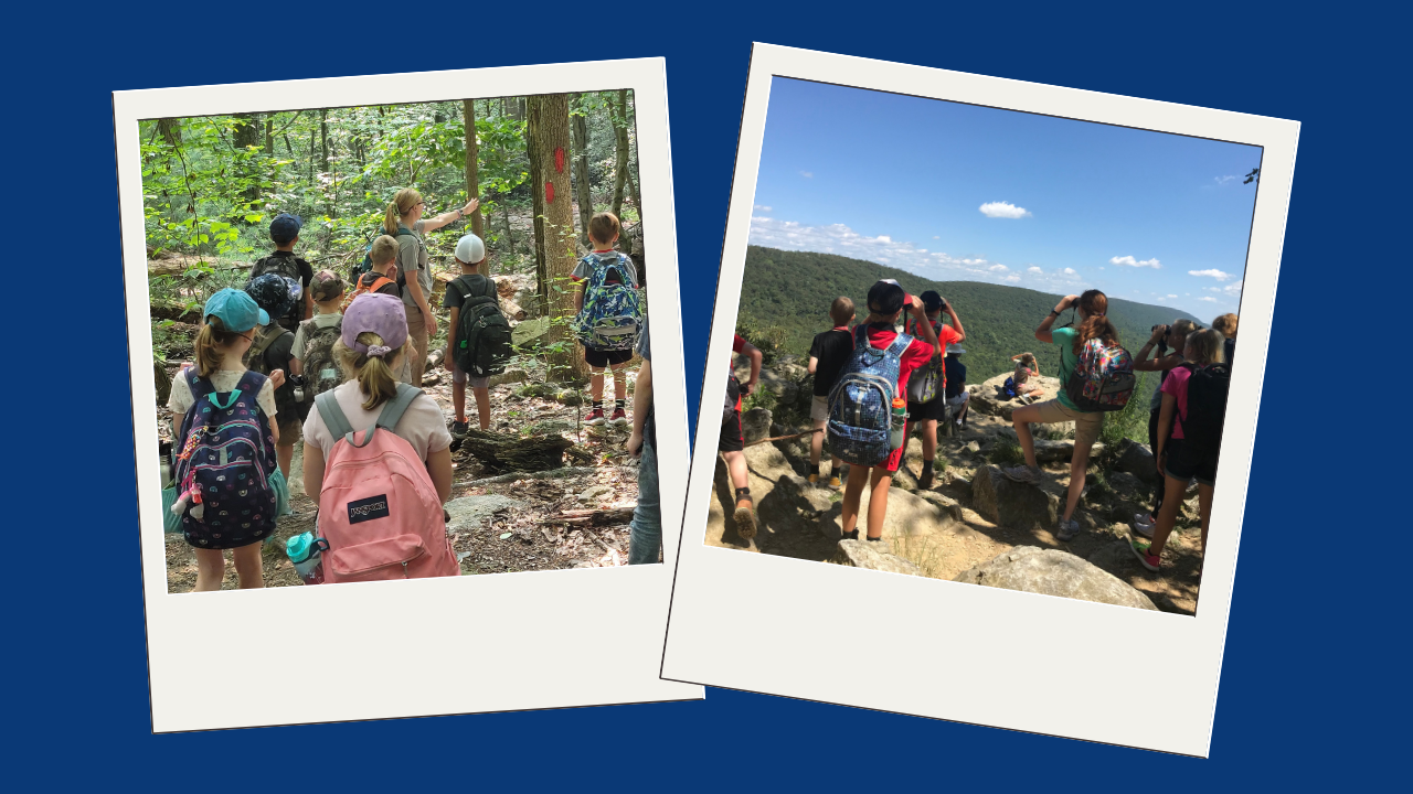 Mountain Adventure Summer Camp in Kempton - Checkout