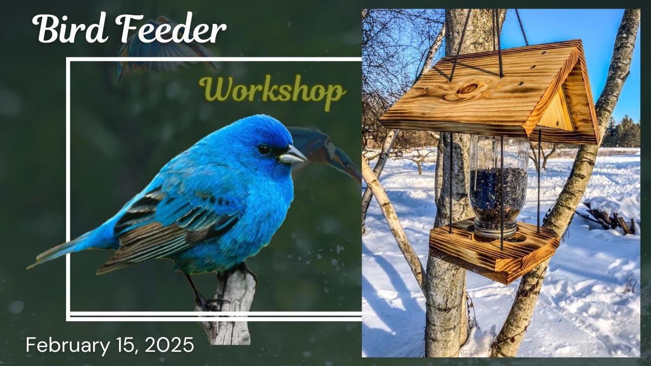 Bird Feeder Workshop in Kenosha - Checkout