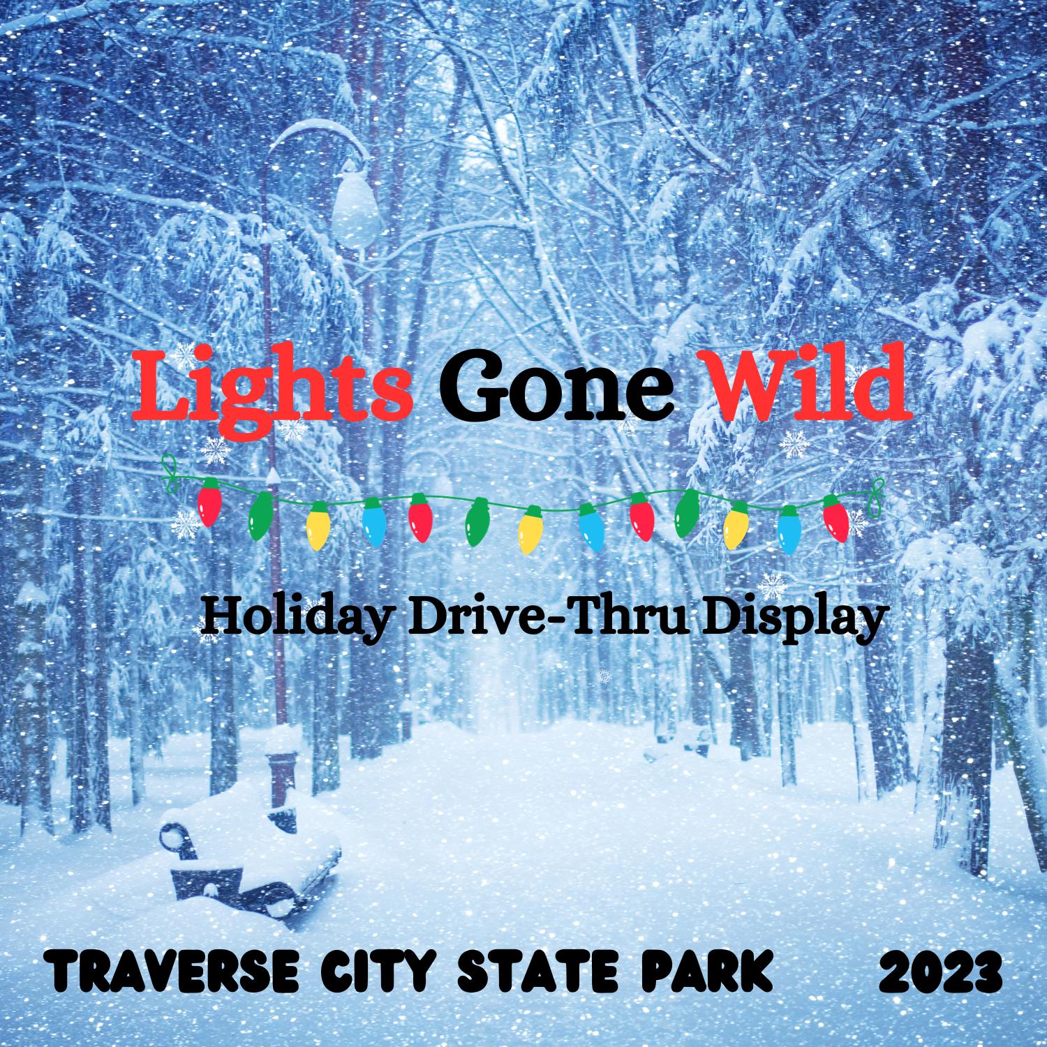 Lights Gone Wild in Traverse City - Checkout
