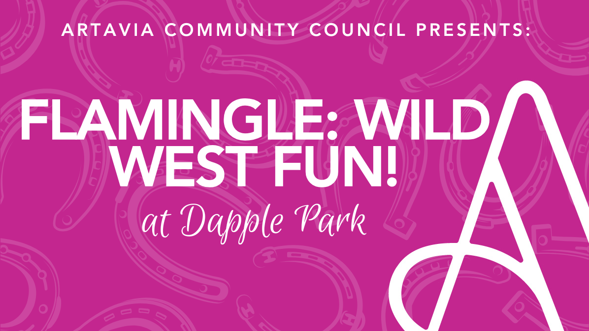Flamingle: Wild West Fun! in Conroe - Checkout