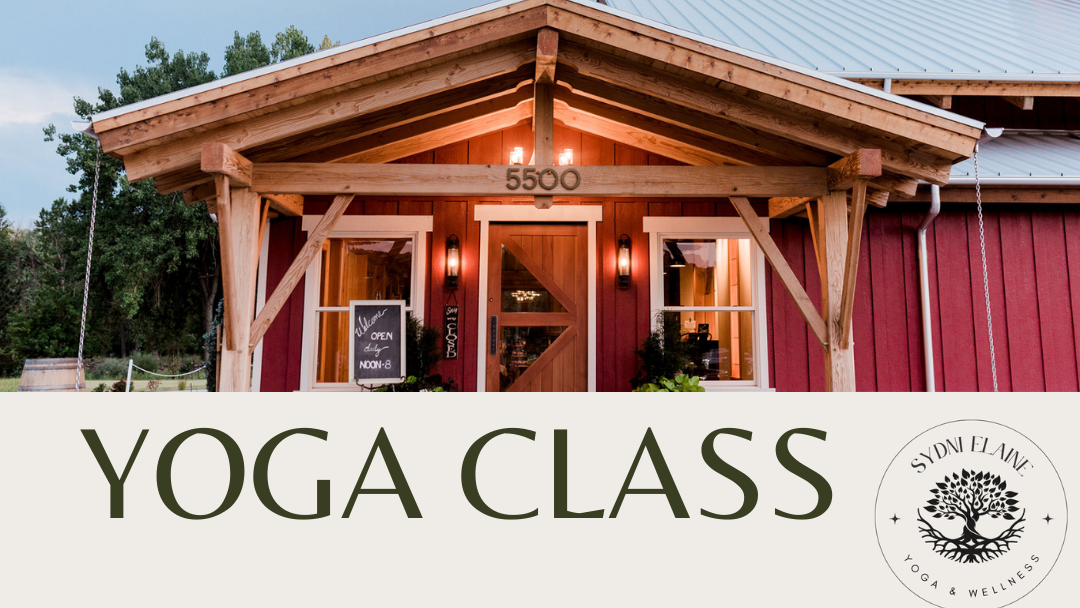Vino & Vinyasa: A Yoga & Wine Night in Loveland - Checkout