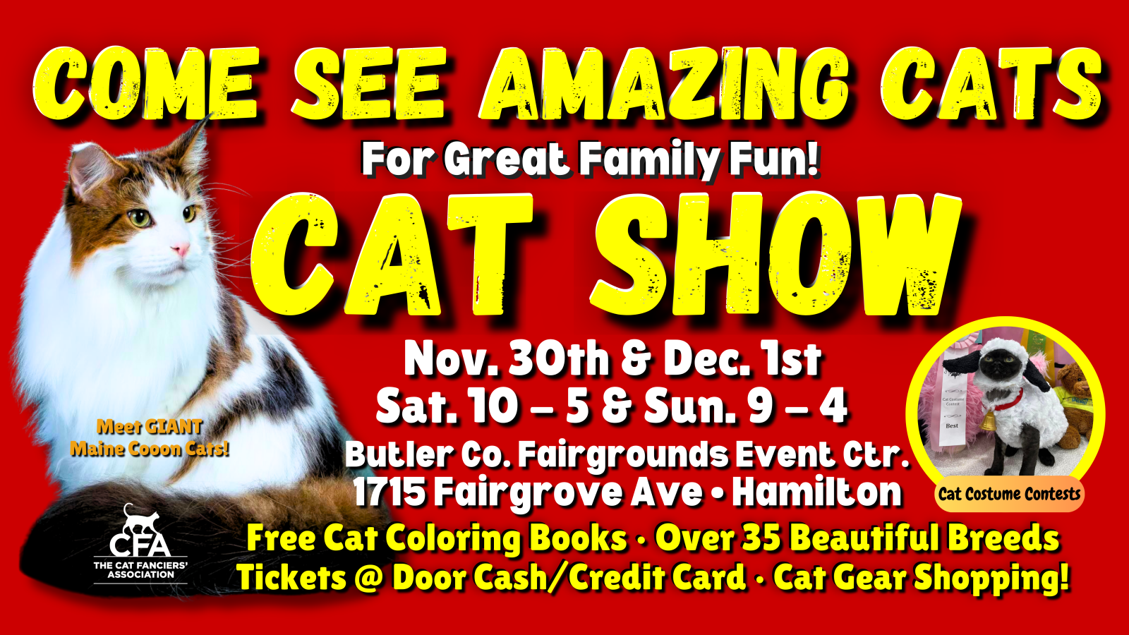Come See the Amazing Cats at the PURR-FECT CINCINNATI Area Cat Show ...