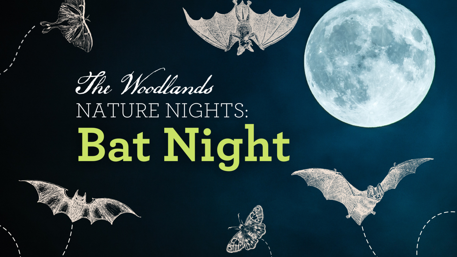 Nature Nights: Bat Night in Philadelphia - Checkout